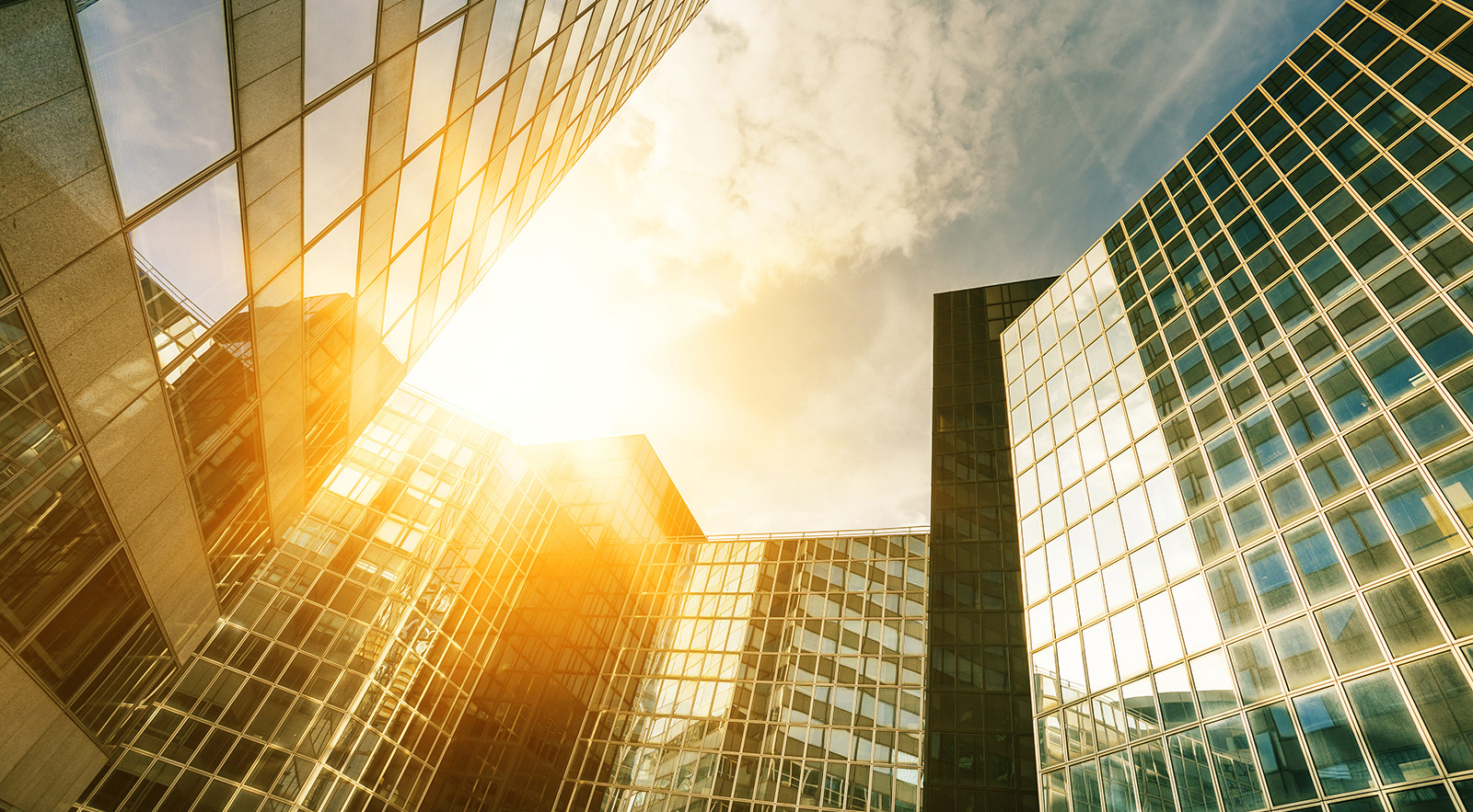 iDefend Terms - INVISUS