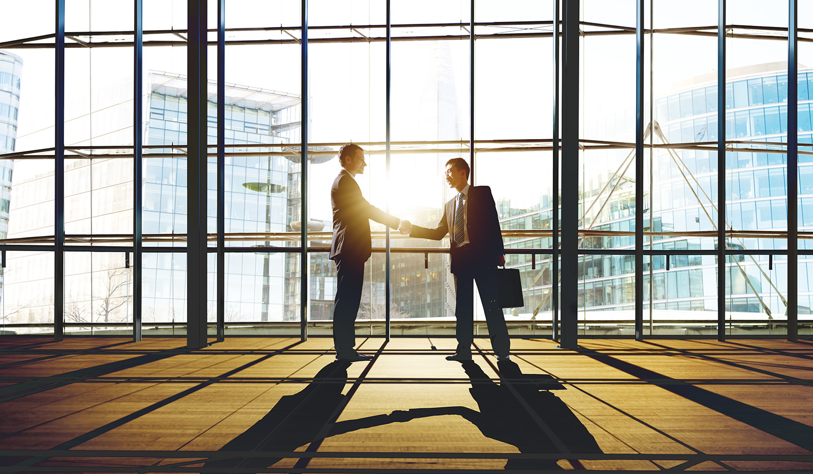 Partnering with INVISUS - INVISUS