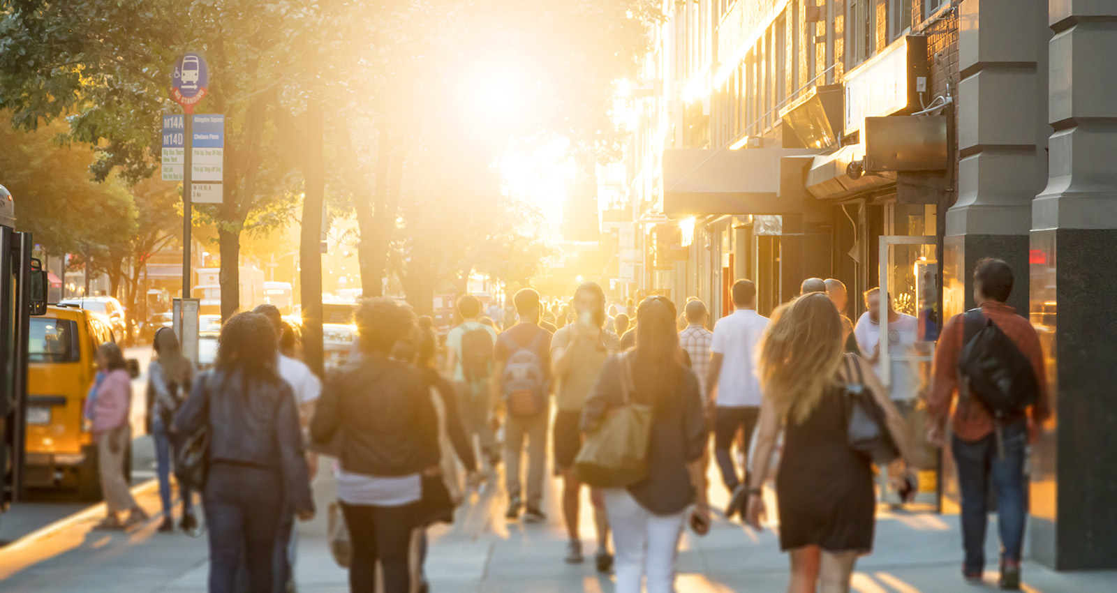 Leadership - INVISUS